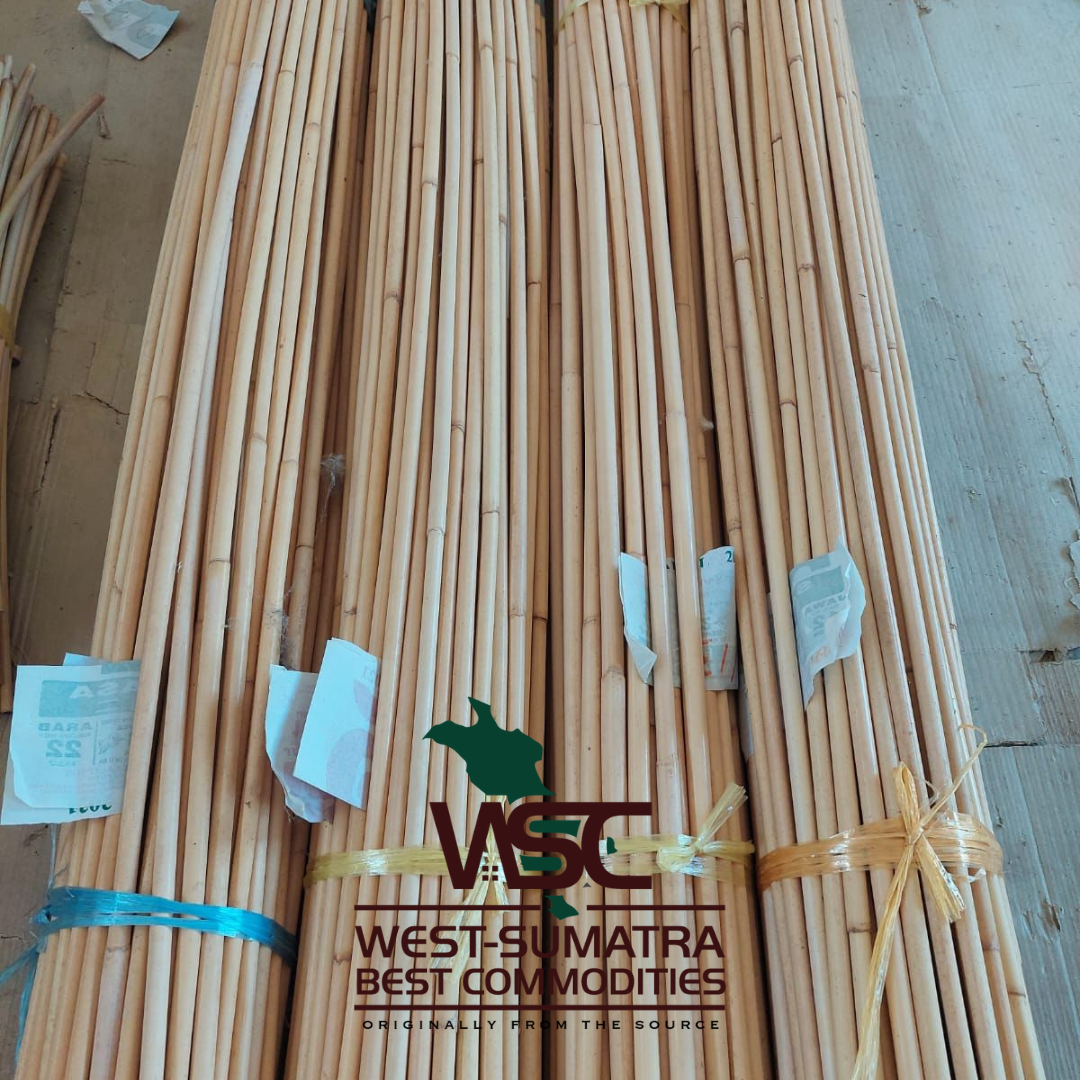 Arabic Stick Dance, Traditional Arabic Stick, Al Alaya Stick, Omani ...