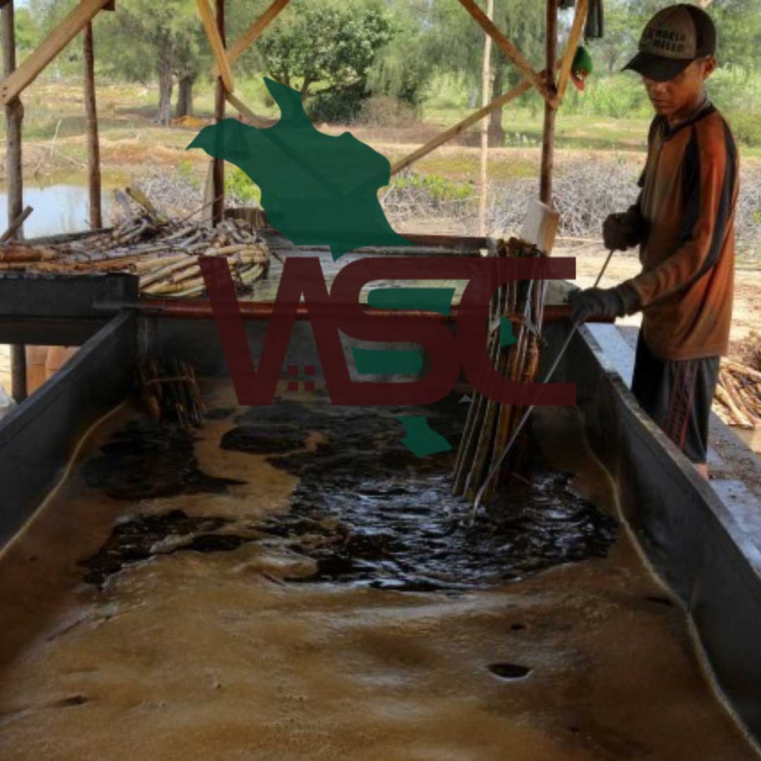 Arabic Stick Dance, Traditional Arabic Stick, Al Alaya Stick, Omani ...